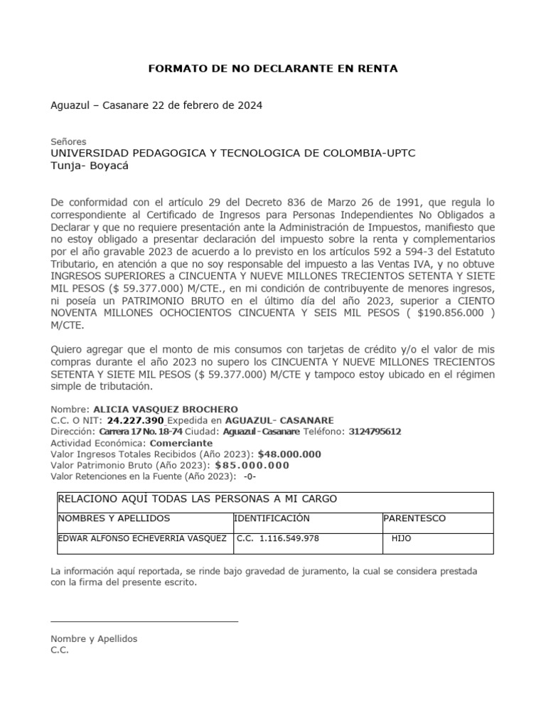 No Declarante Non Declarant | PDF | Impuestos | Gobierno