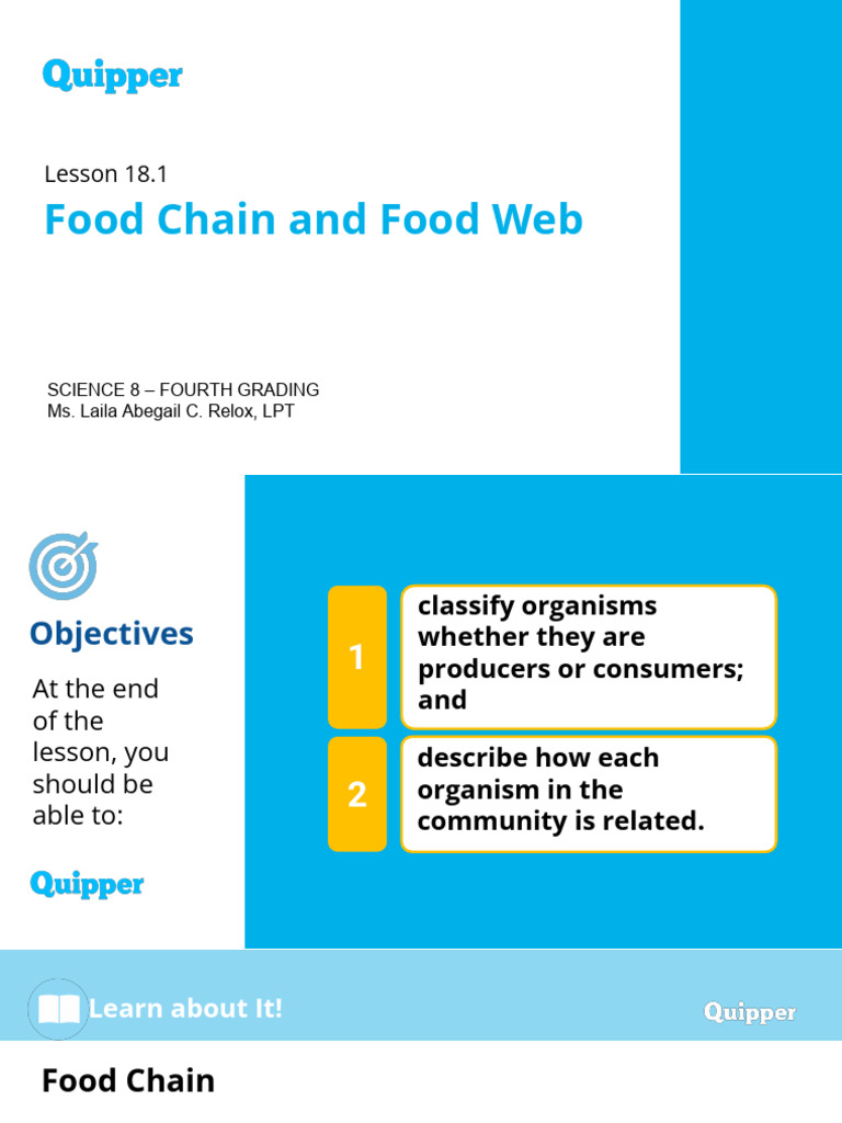 Science 8 18.1 Food Chain and Food Web | PDF | Food Web | Foods