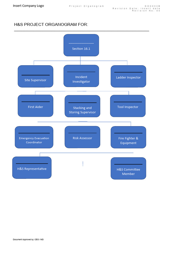 DOC003B Project Organogram - Other B | PDF