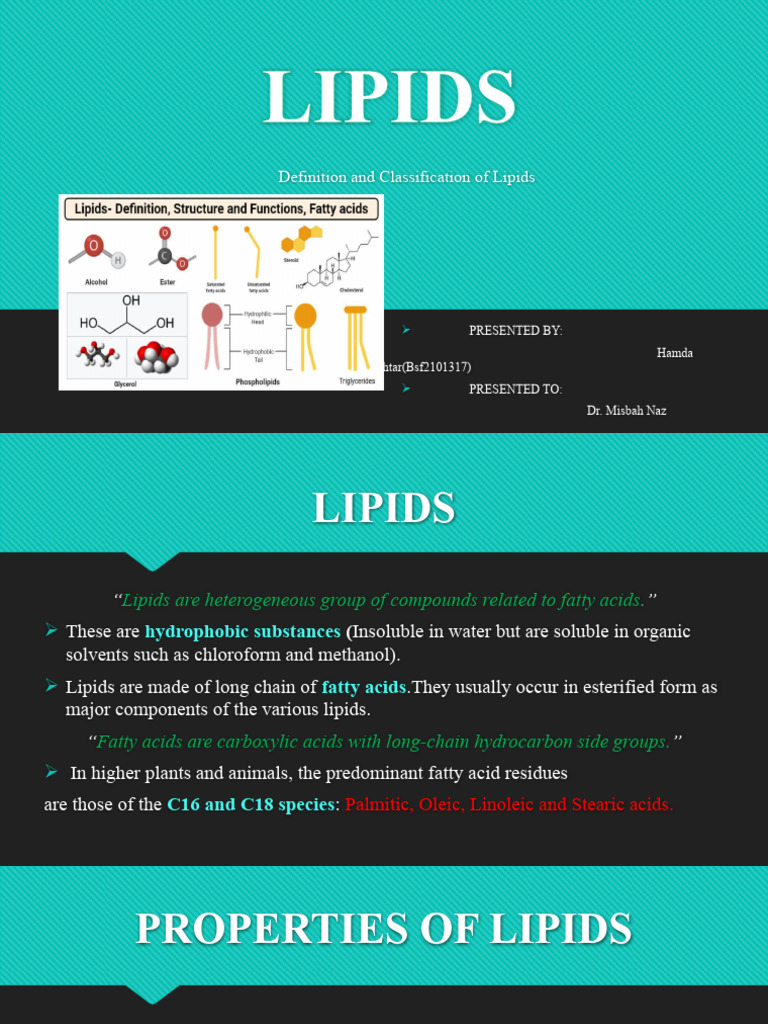 Lipids: Definition, Types, and Functions | PDF | Lipid | Triglyceride
