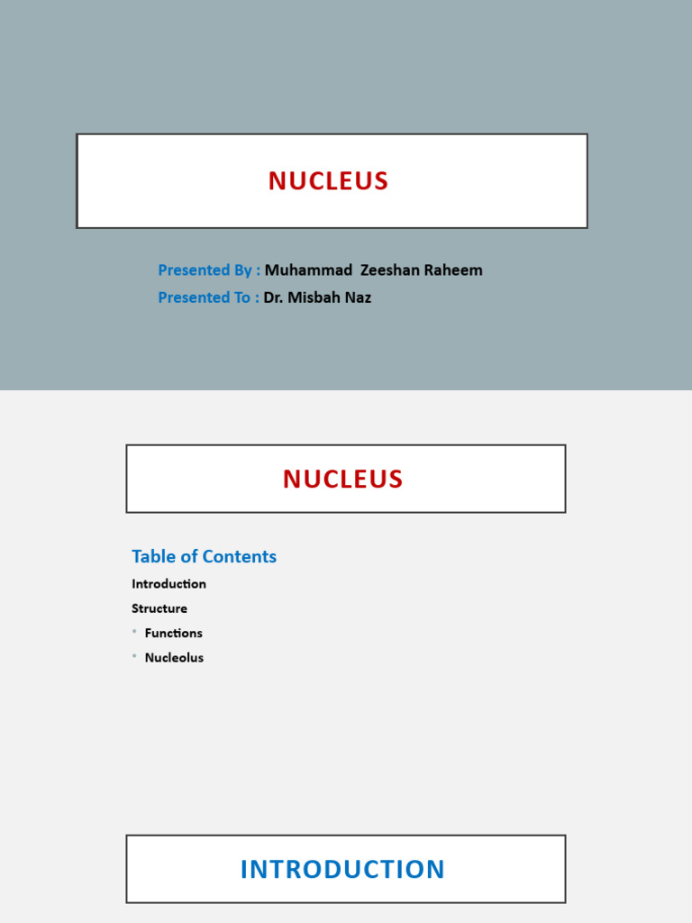 Nucleus 1 | PDF