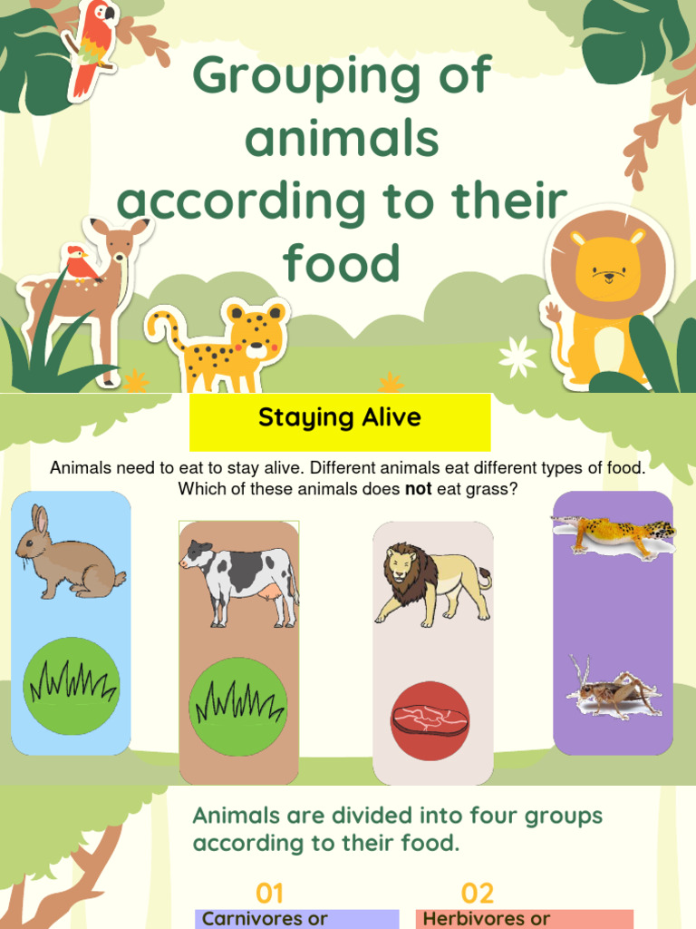 Animals According To Their Food | PDF | Home & Garden | Wellness
