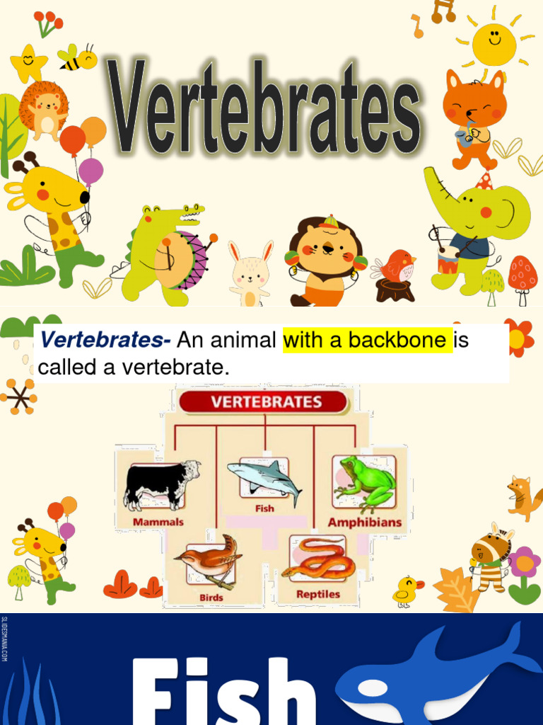 Fish, Amphibians&Reptiles | PDF