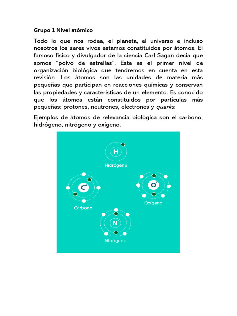 Nivel Atómico | PDF | Ecosistema | Epitelio