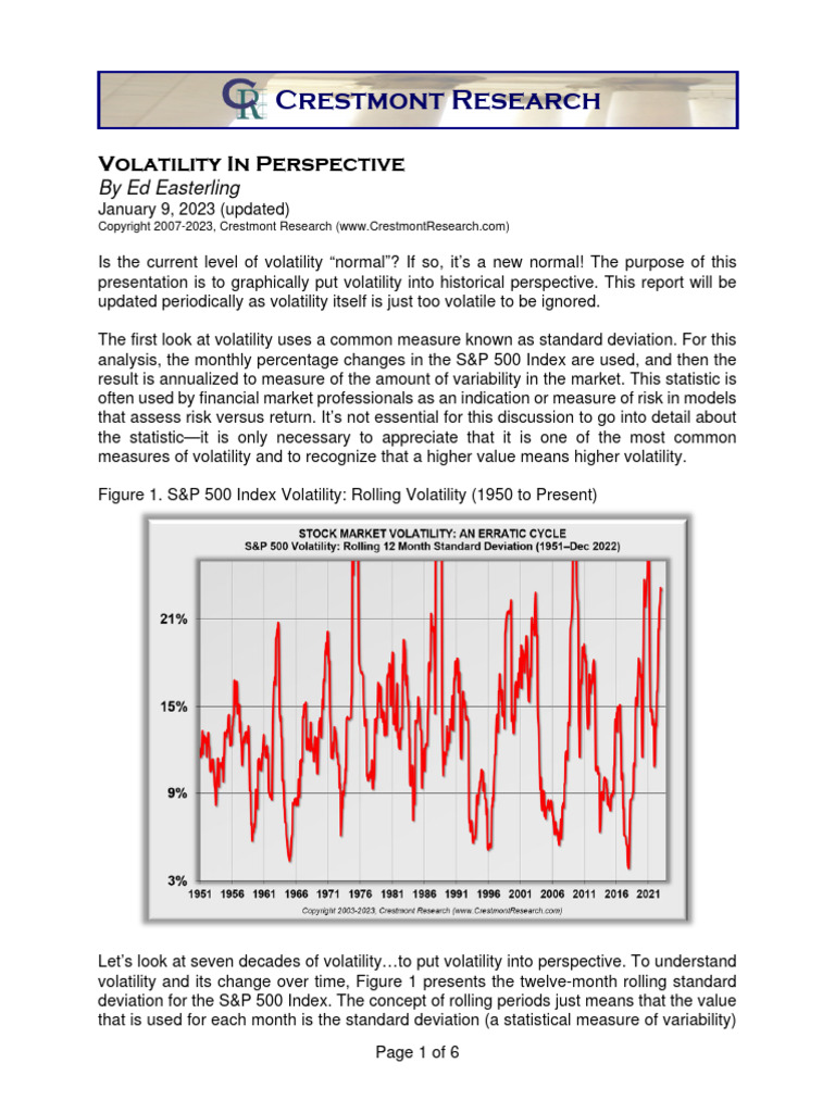 Stock Volatility Perspective | PDF | Volatility (Finance) | Vix
