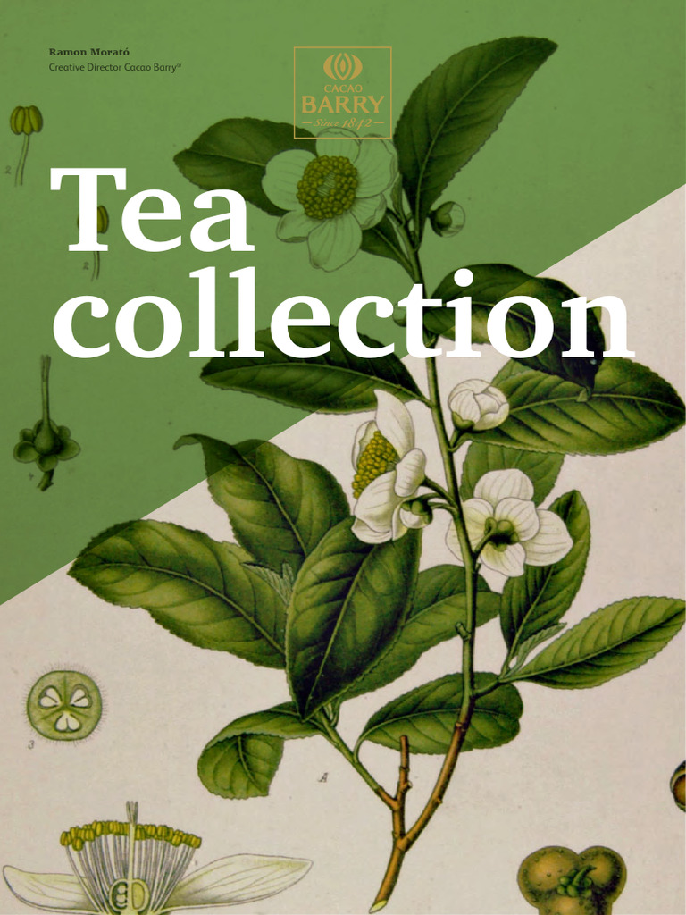 Bulletin Tea EN | PDF | Chocolate | Tea