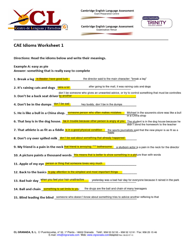 CAE Idioms Worksheet 1 | PDF