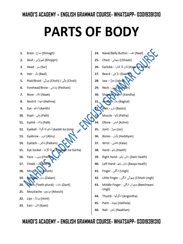 Parts of Body | Download Free PDF | Forehead | Human Anatomy