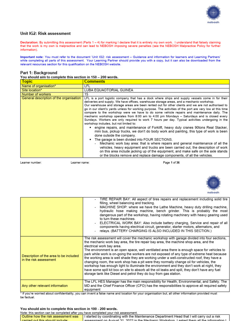 IG2 Form - Risk Assessment | Download Free PDF | Personal Protective ...