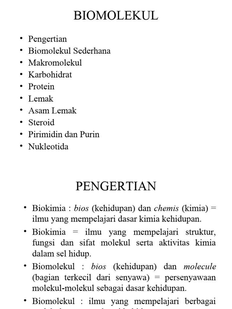 BIOMOLEKUL | PDF