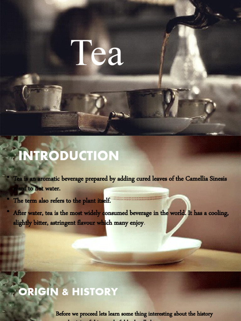 History and Cultivation of Tea | PDF | Tea | Drink