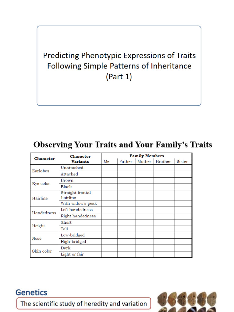 Q4-gregormendel | PDF | Dominance (Genetics) | Genotype