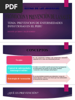 Contactos de DGVS en Paraguay | PDF