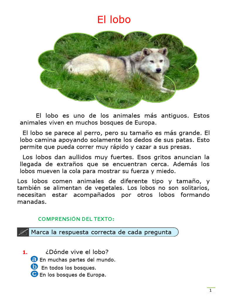 El Lobo Lectura | PDF | Hogar, jardinería y bricolaje