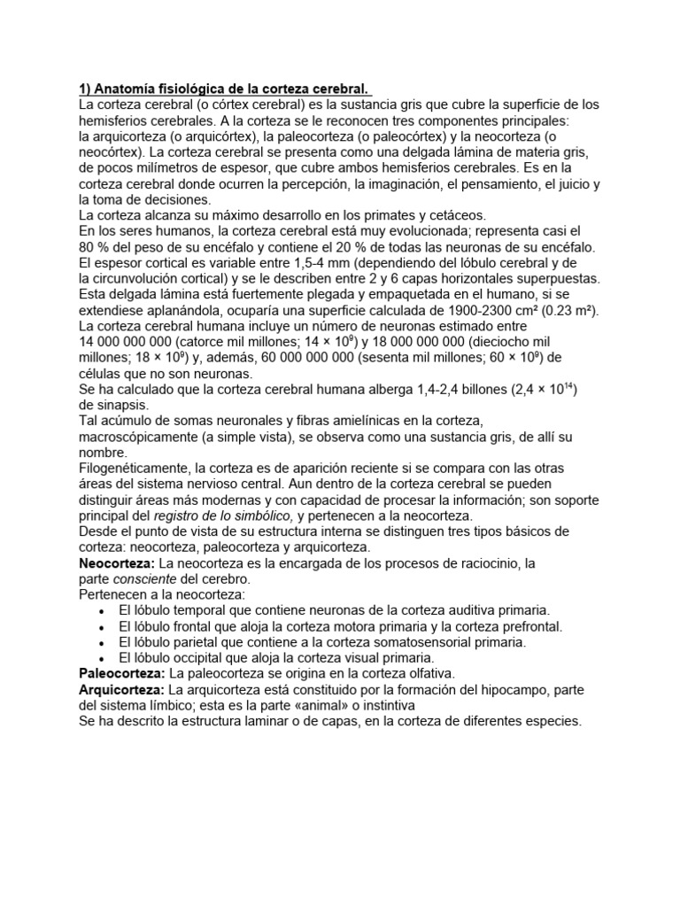 Anatomía y Funciones de la Corteza | PDF | Corteza cerebral | Memoria