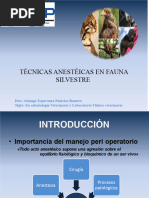 PROTOCOLO ASA Final - Paola Pérez | PDF | Anestesia | Cirugía