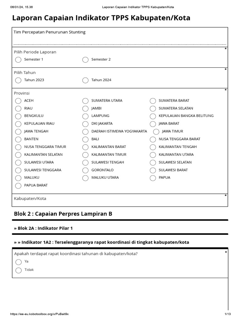 Laporan Capaian Indikator TPPS Kabupaten - Kota | PDF