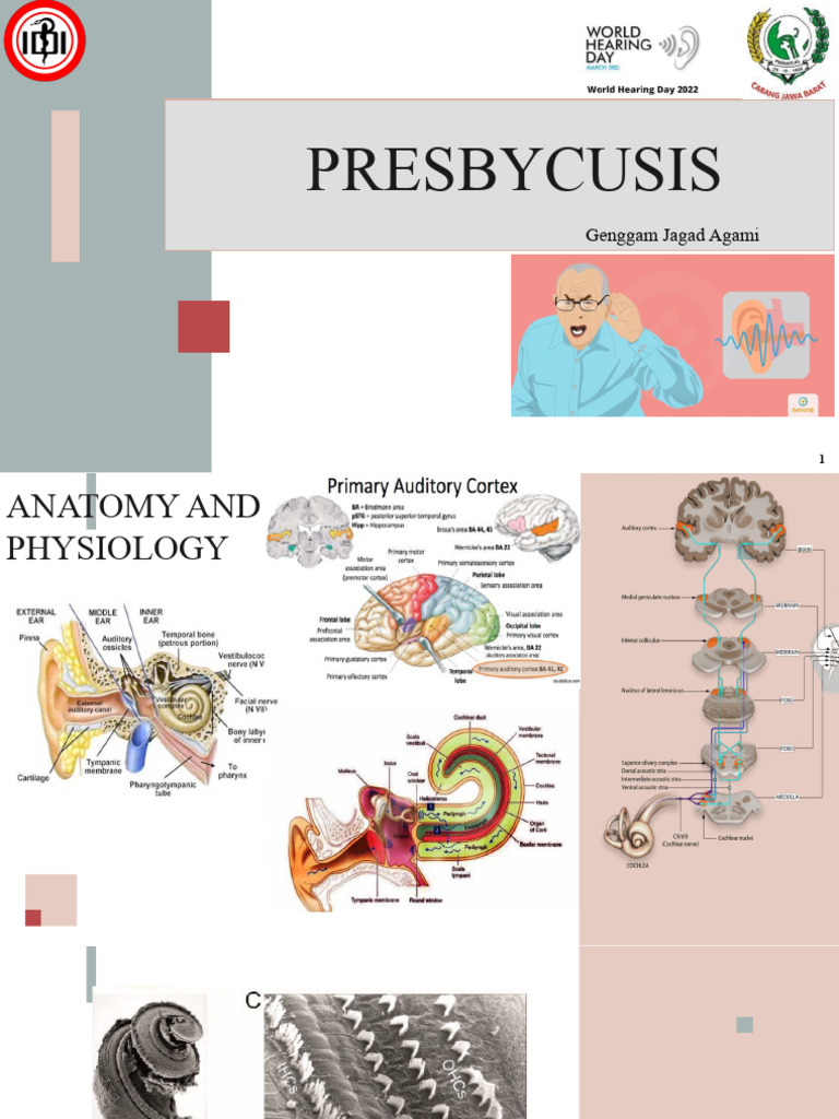 Presbycusis Jagad | PDF | Hearing Loss | Hearing