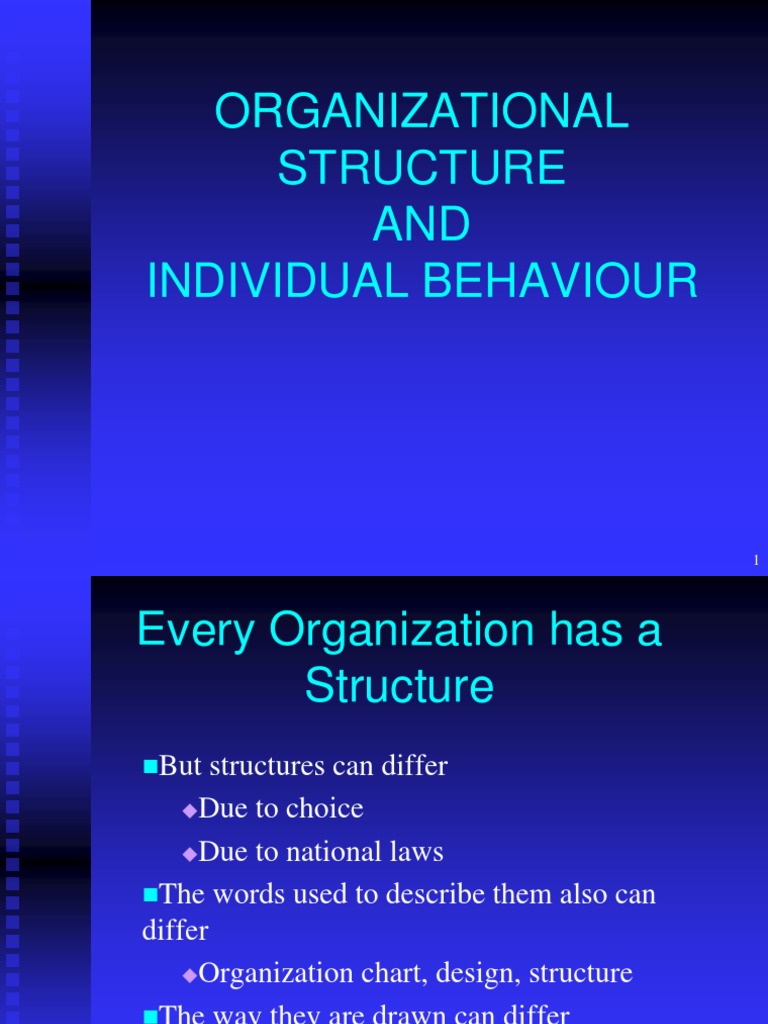 Org Structure and Individual Behaviour
