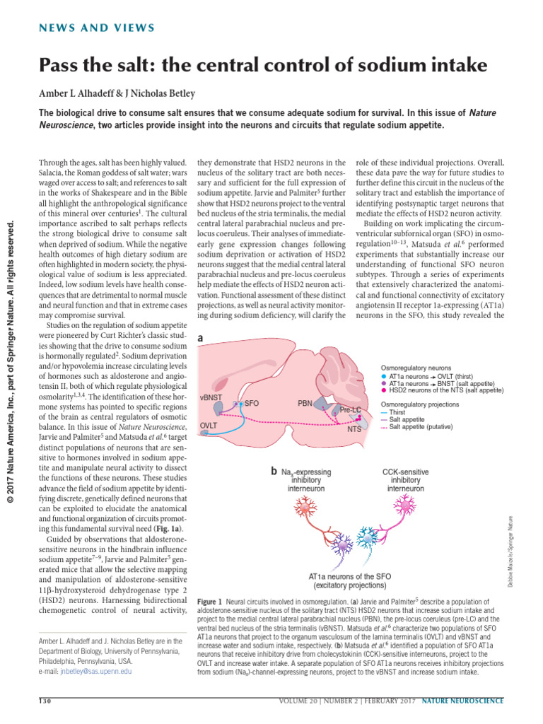Salt and Central Nerves System | PDF | Neuroscience | Brain