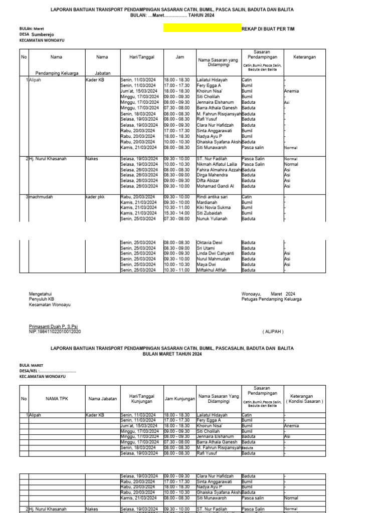 Rekap Laporan Pendampingan Tahun 2024 (Maret) | PDF