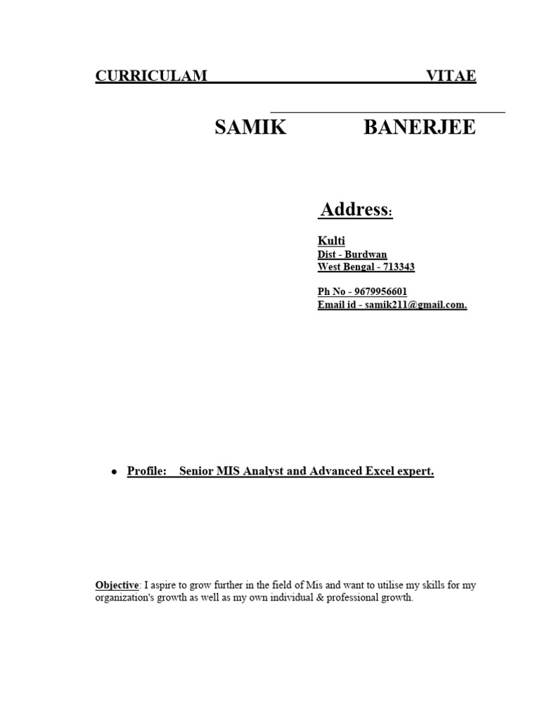Samik Banerjee - CV2022 | PDF | Information Technology | Information Technology Management