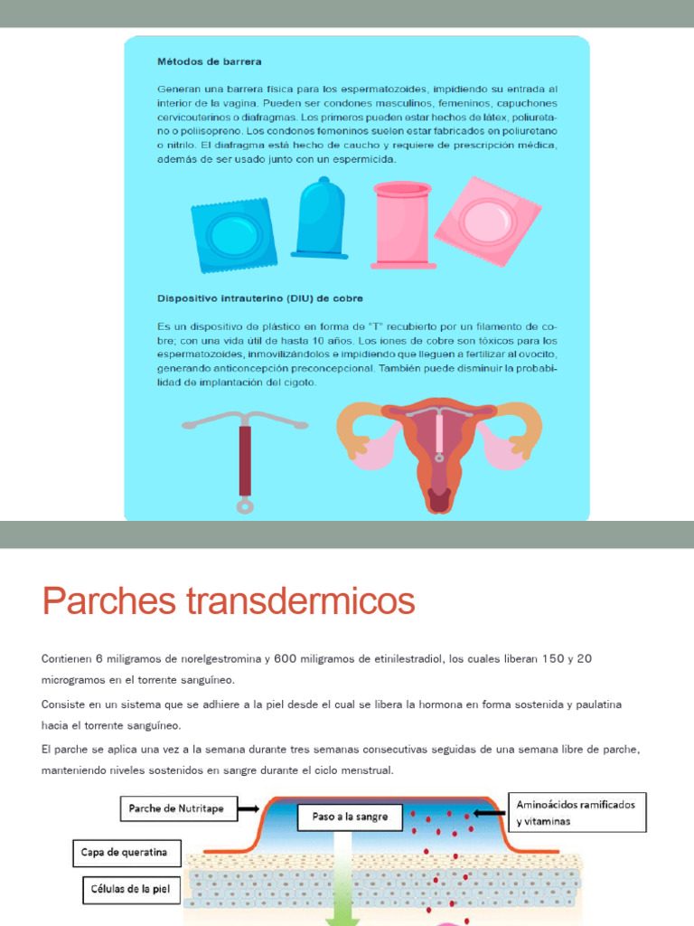 Anticonceptivos Parche | Descargar gratis PDF | Vagina | Ginecología