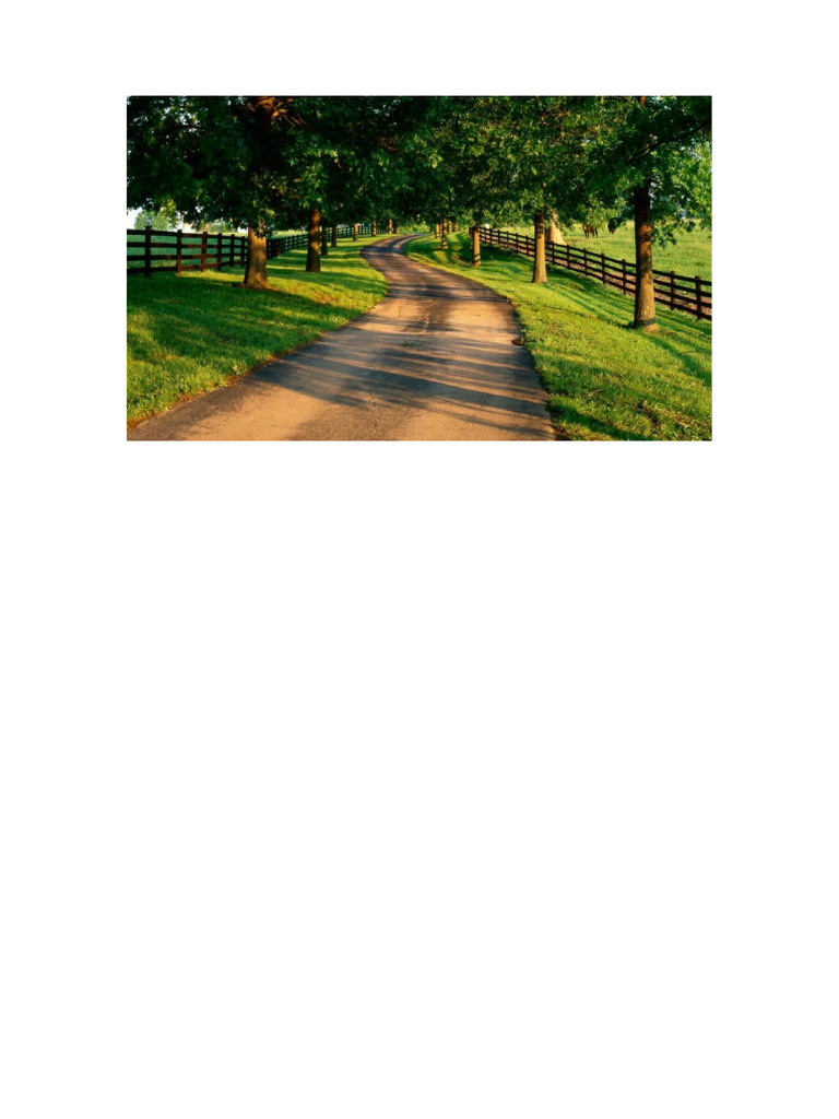 Scribd 1 Document 2 Pdf