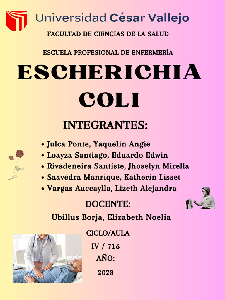 Infografía de Escherichia Coli | PDF | Escherichia coli | Diarrea