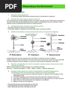 IGCSE Biology: Coordination & Response Notes | PDF