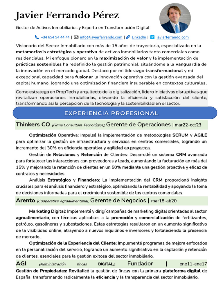 Javier Ferrando Perez SC - Compressed | PDF | Marketing | Publicidad digital