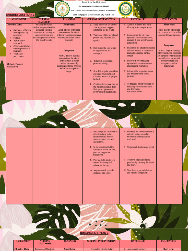 Nursing Care Plan 1 | PDF | Hypertension | Obesity