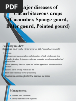 Profile of NSIC RC 160 and 218 | PDF | Crops | Agronomy