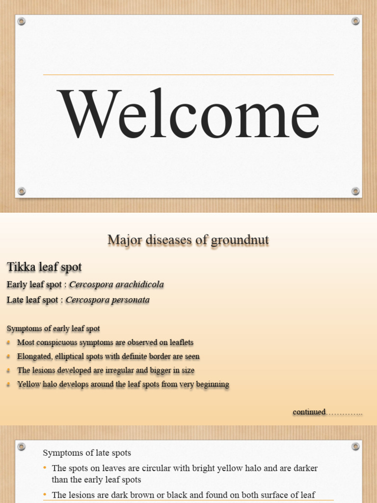 Major Diseases of Groundnut | PDF | Leaf | Botany