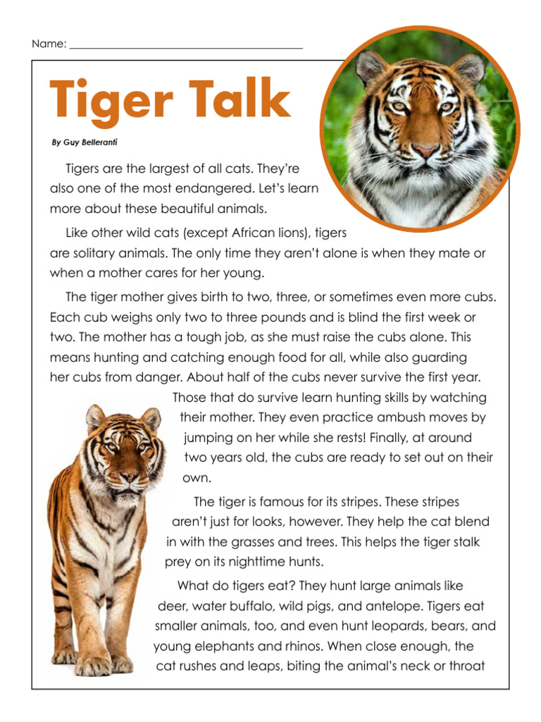 5th-tiger-talk | PDF | Tiger | Hunting