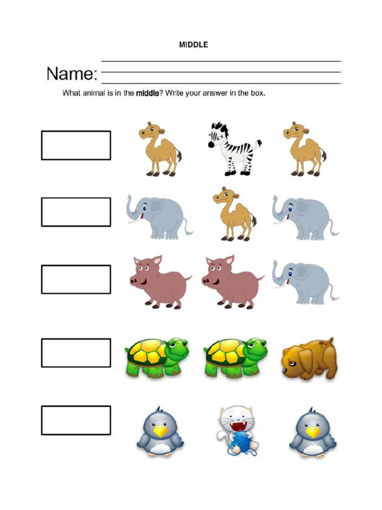 Worksheets For Primary | PDF