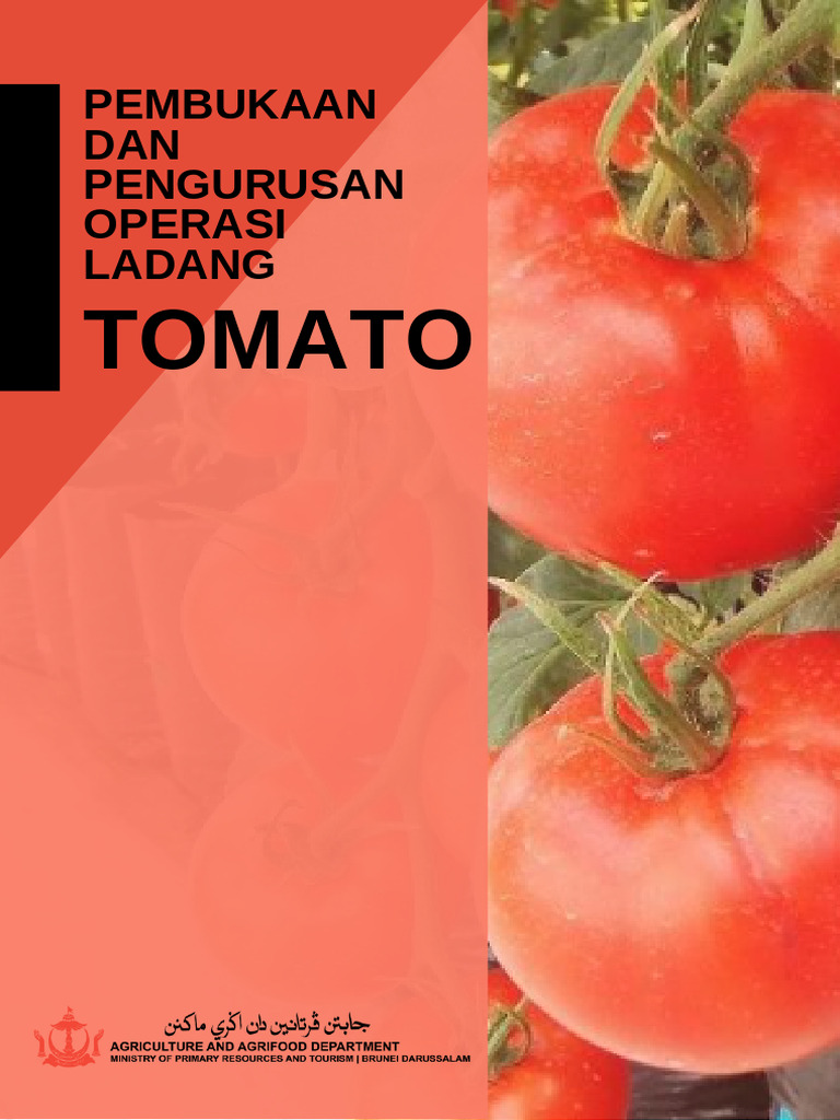 DOAA Manual Tomato 2 | PDF