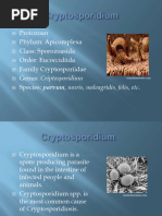 Spore vs Cyst in Bacteria Explained | PDF | Bacteria | Microbiology