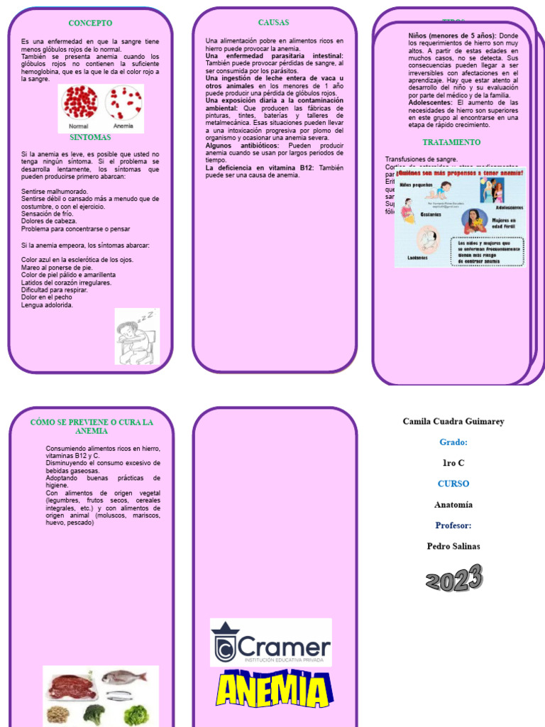 Triptico de La Anemia - Camila Cuadra | PDF | Malaria | Anemia