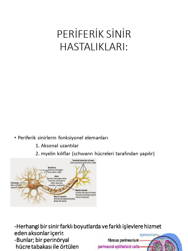 6 PERİFERİK SİNİR HASTALIKLARI | PDF