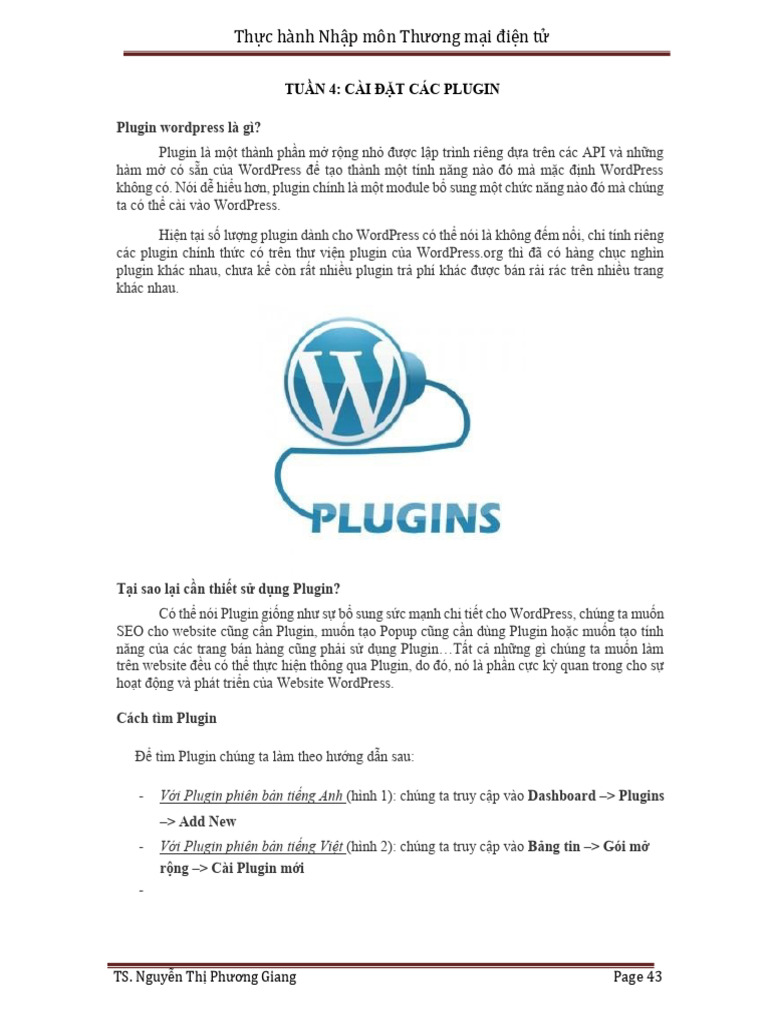 Huong Dan Thuc Hanh Mon Nhap Mon TMDT (Tuan 4-Pluggin) | PDF