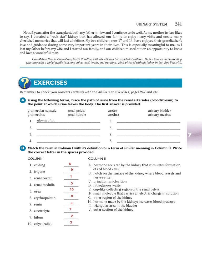 ejercicios urinary (1) (1) | PDF | Kidney | Urine
