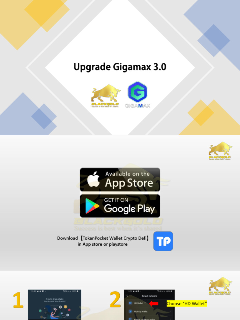 Upgrade Gigamax 3.0 Manual (En) | PDF