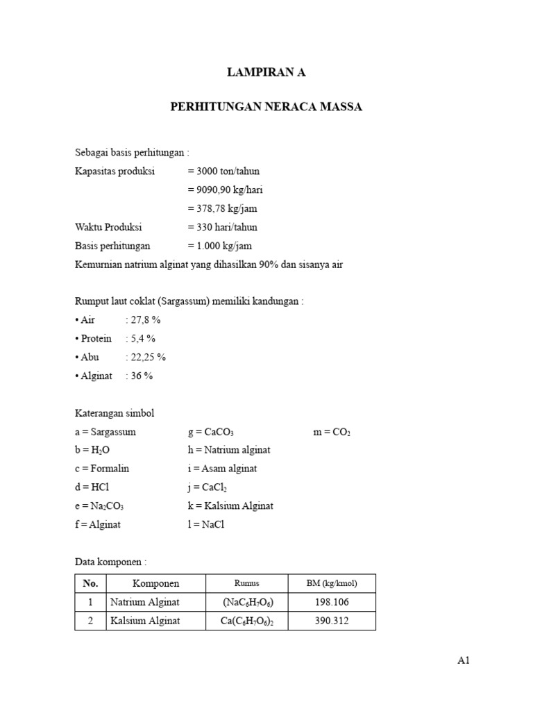 Neraca Massa Pamulang | PDF