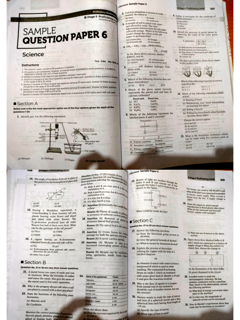 Science Sample Paper 6 (Arihant) | PDF