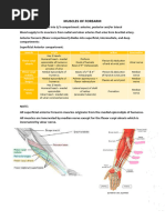 Thenar and Hypothenar Muscle Anatomy | PDF | Thumb | Hand