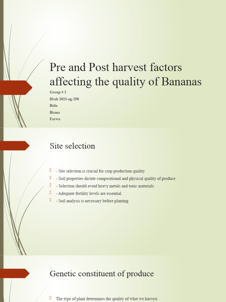 Pre and Post Harvest Quality of Banana | PDF | Tomato | Vegetables
