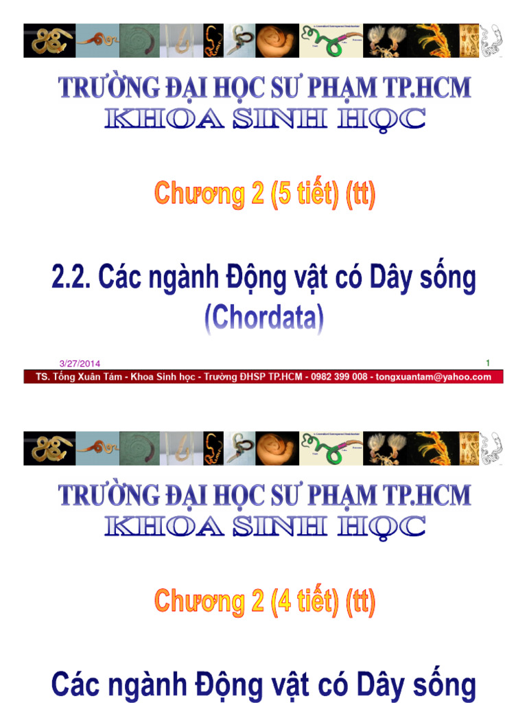Chuong 2.2.2. Phan Nganh Song Dau (Cephalochordata) | PDF