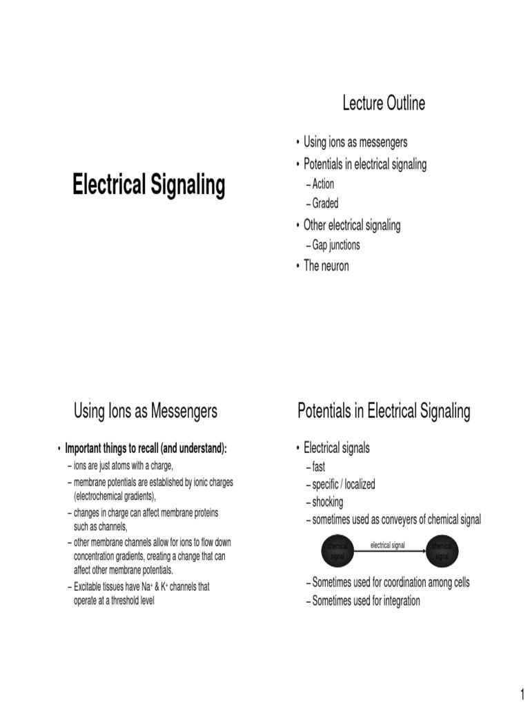 Electrical Signaling-1 | PDF | Action Potential | Membrane Potential
