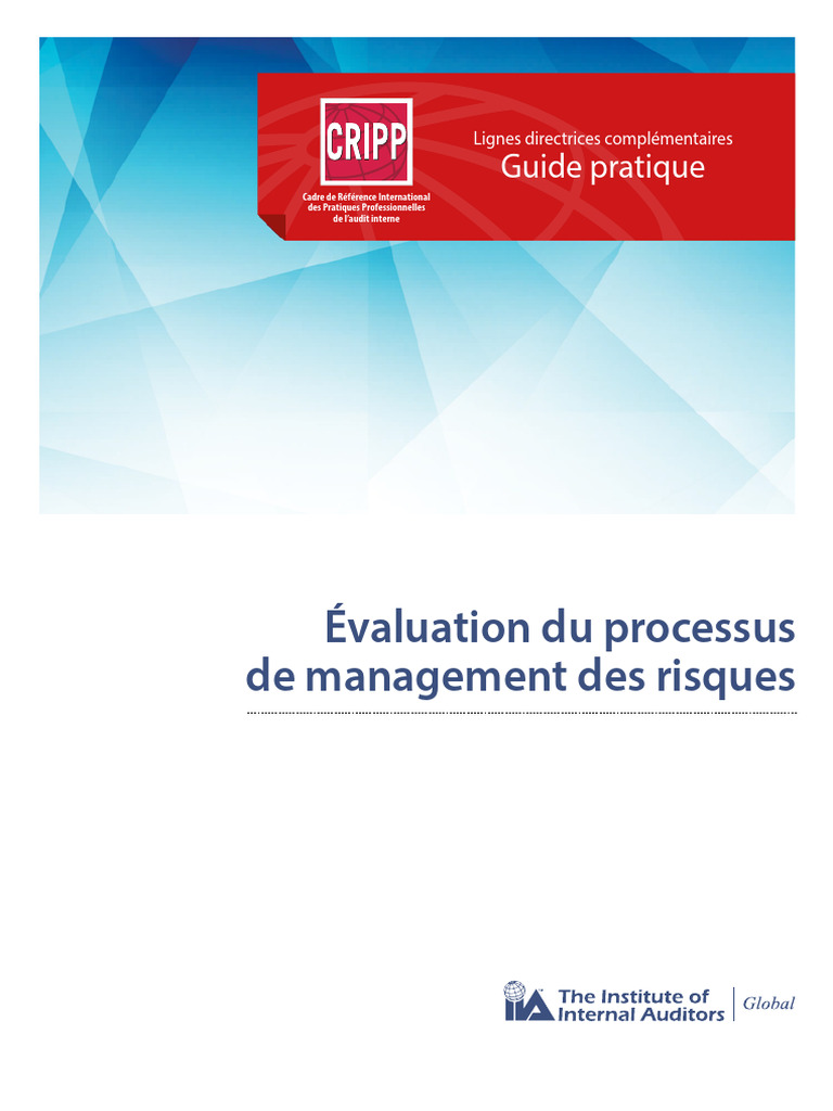 Evaluation Du Processus de Management Des Risques | PDF | Gestion des risques | Audit